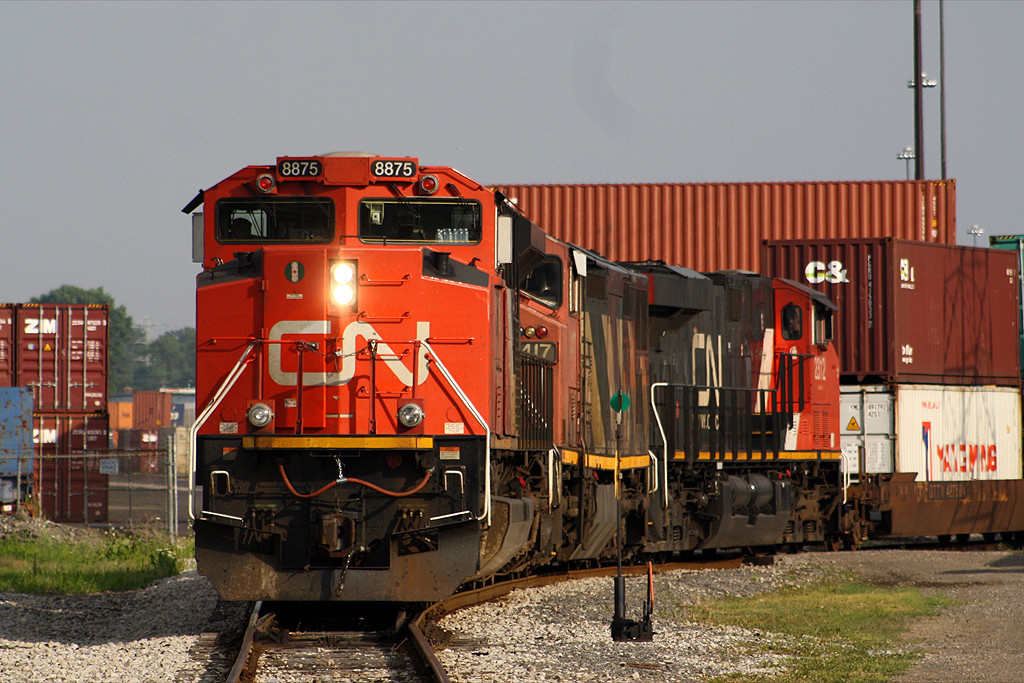 CN 8875
